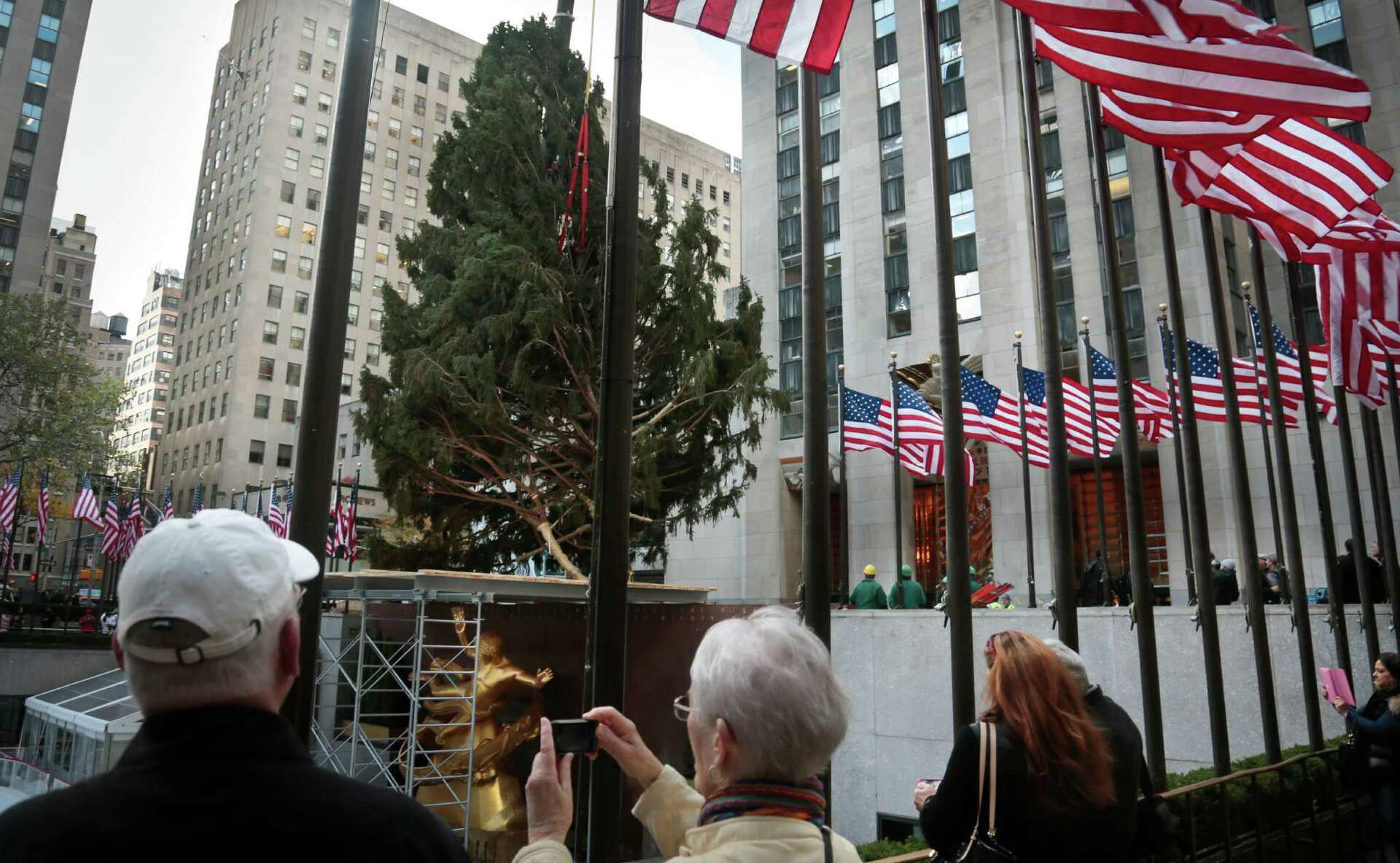 Shelton spruce to grace Rockefeller Center
