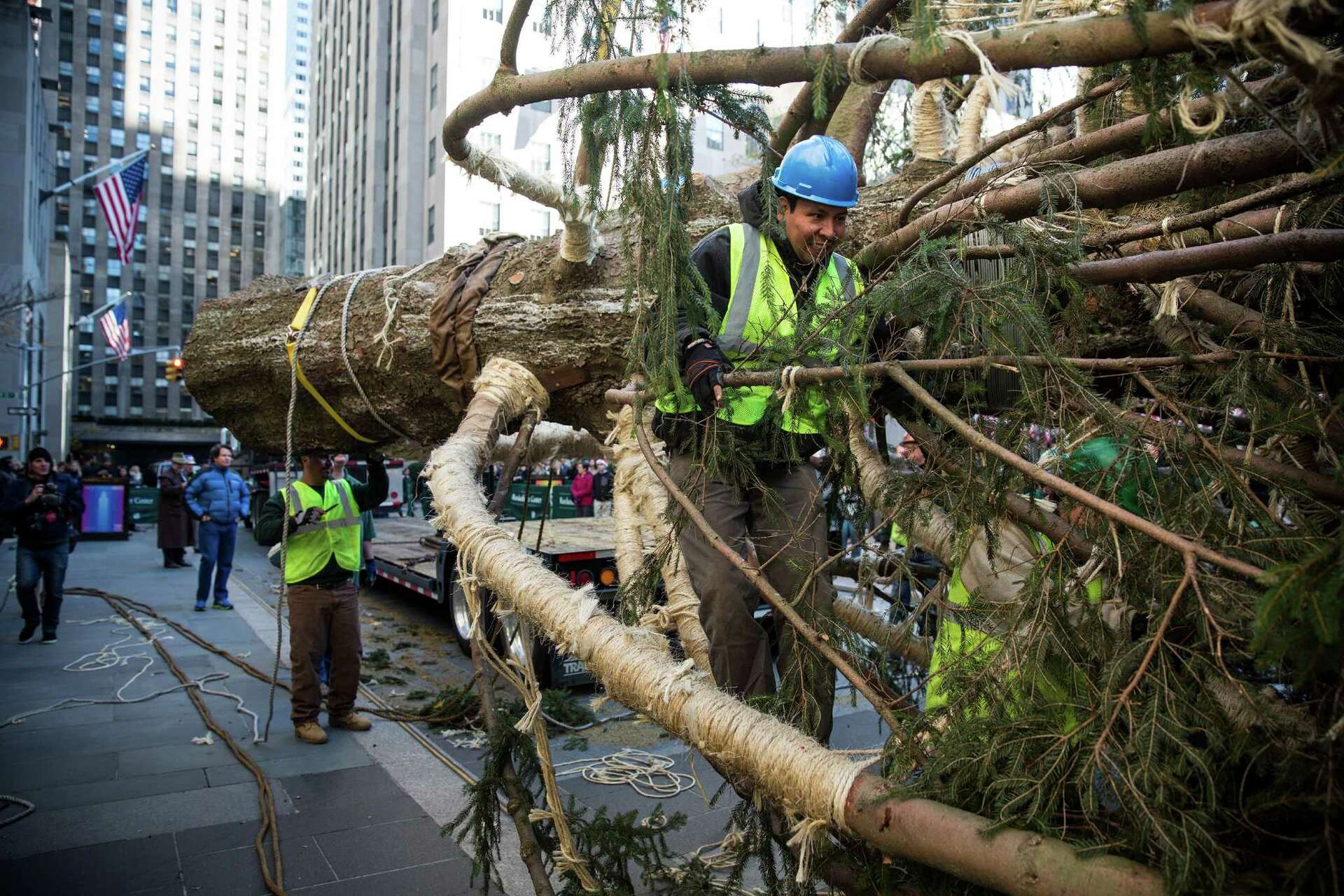 Shelton spruce to grace Rockefeller Center