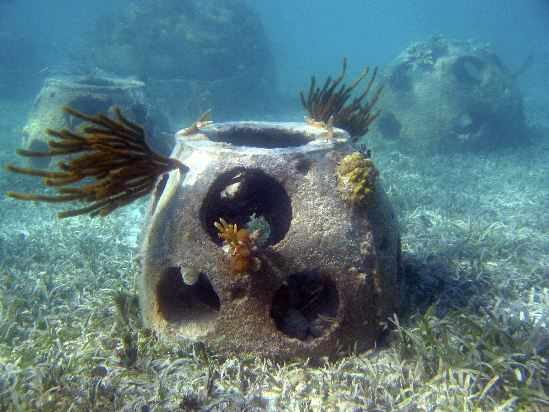 Artificial reef planned for Stratford Point