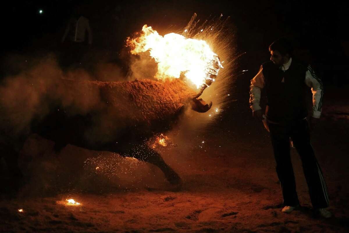 Bull on fire photos: Is the 'Toro de Jubilo' festival in Spain too cruel?
