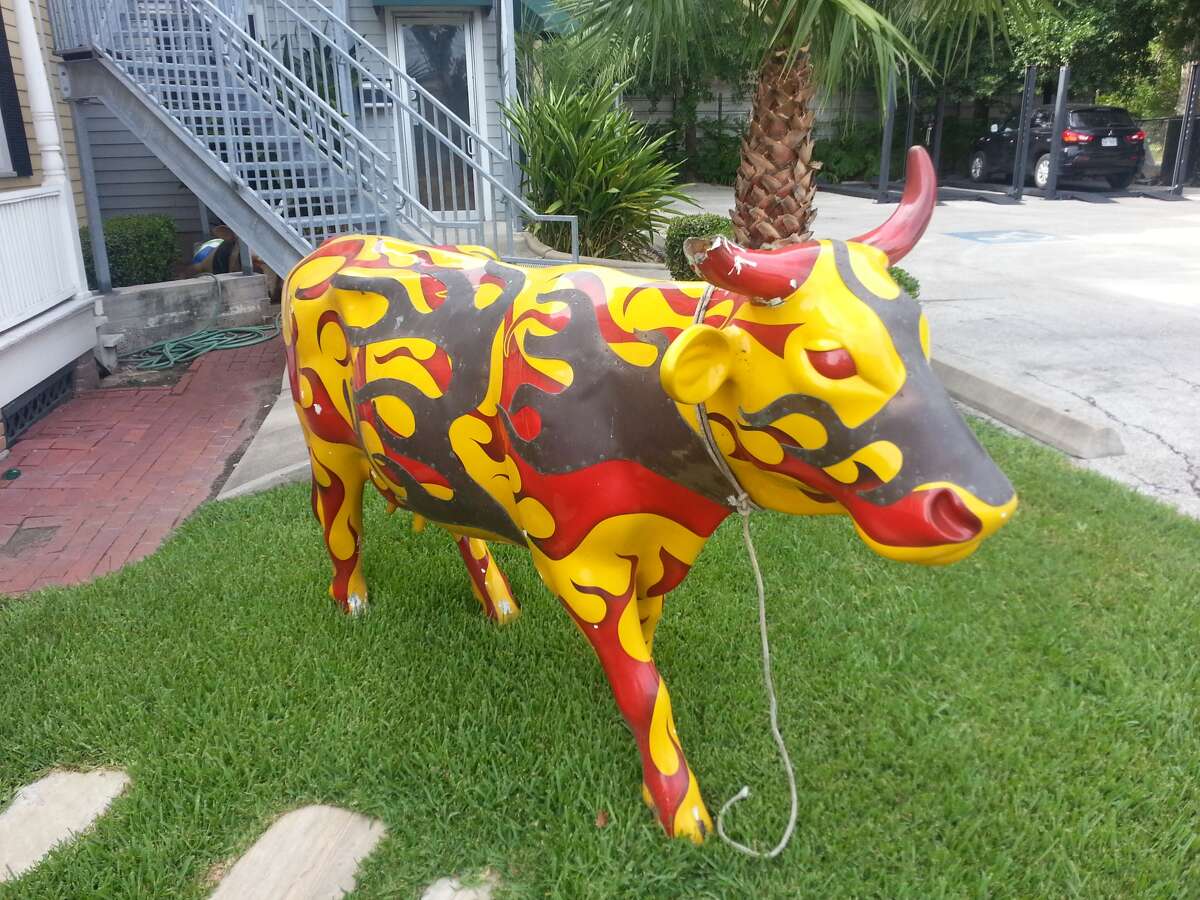 Thunder the kidnapped cow is back home at Heights business