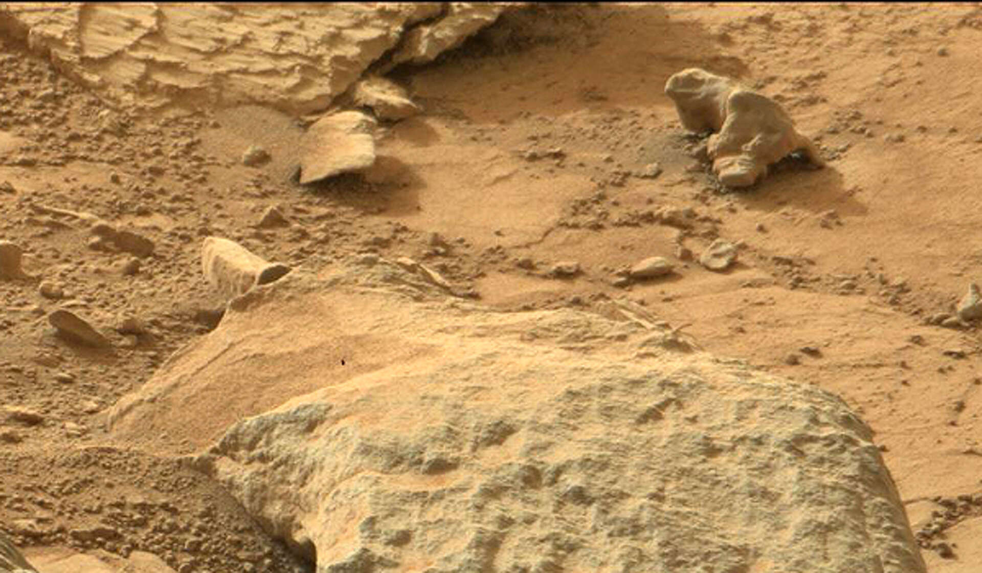 Mars rover photo reveals iguana, blogger claims