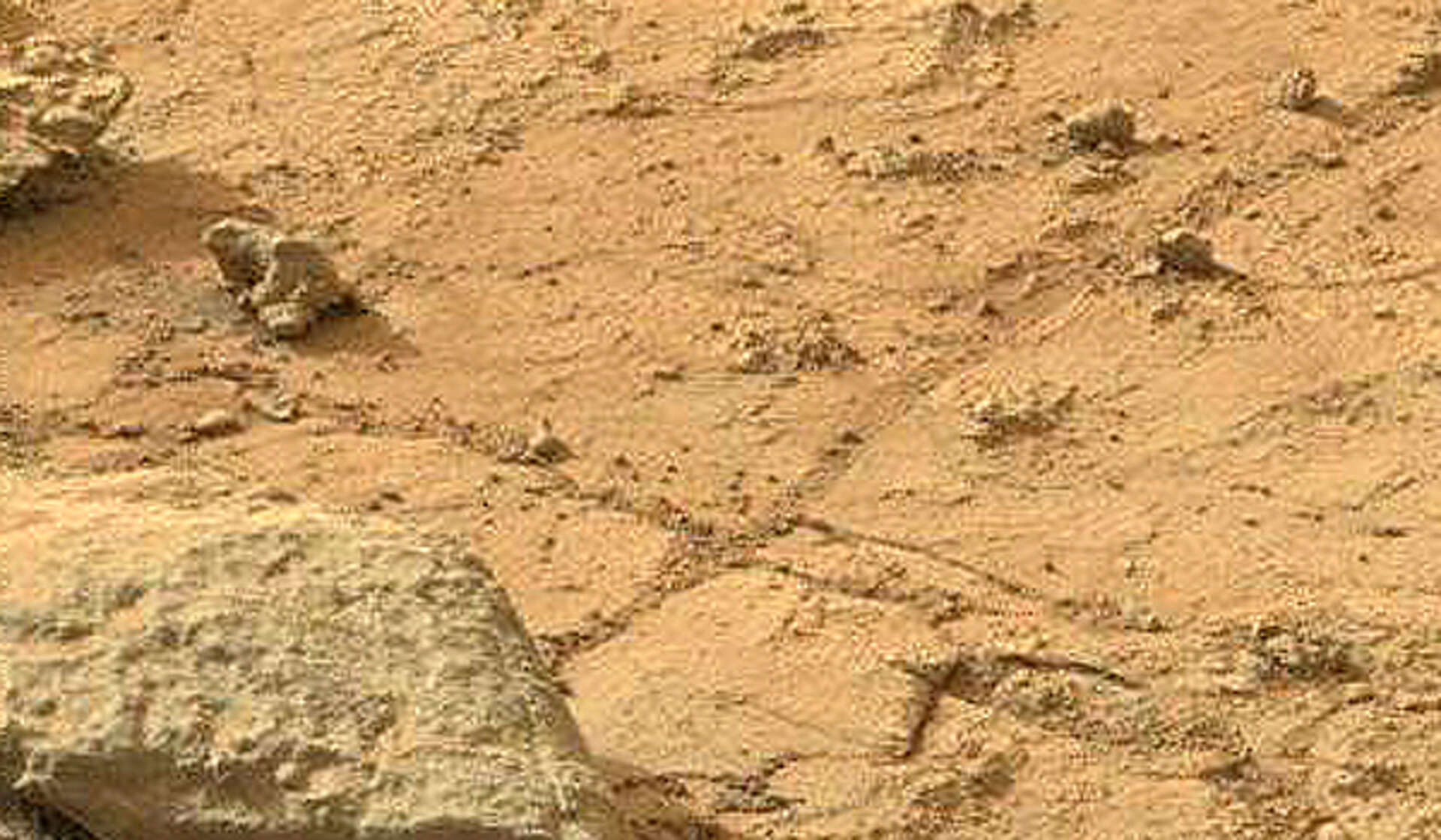 Mars rover photo reveals iguana, blogger claims