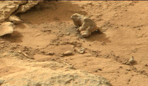 Creature With Tail Nasa Mars