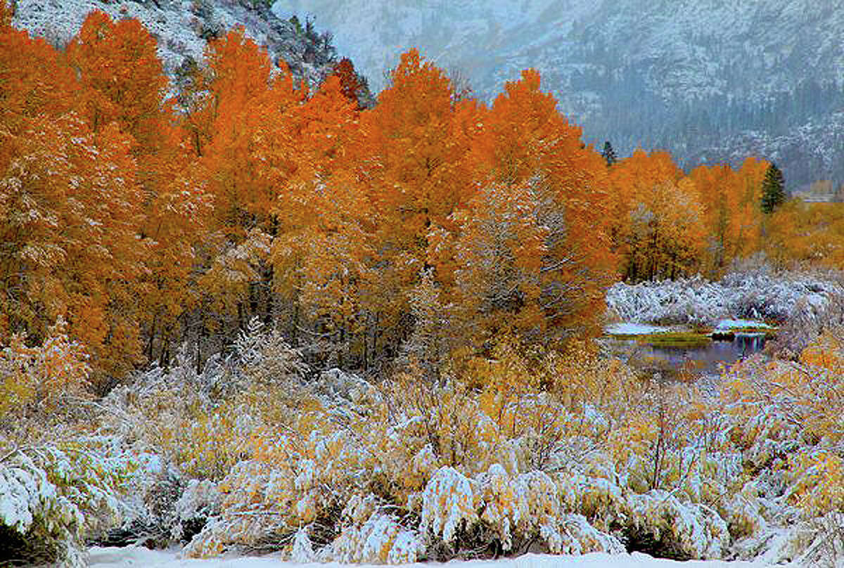 Fall foliage map predicts when the leaves will change and where