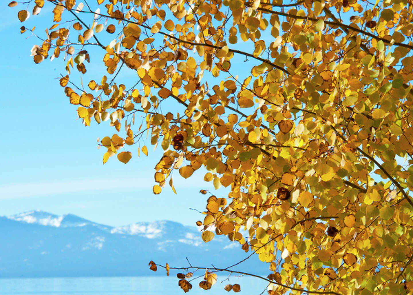 Best bets for fall foliage in the Bay Area and Northern California