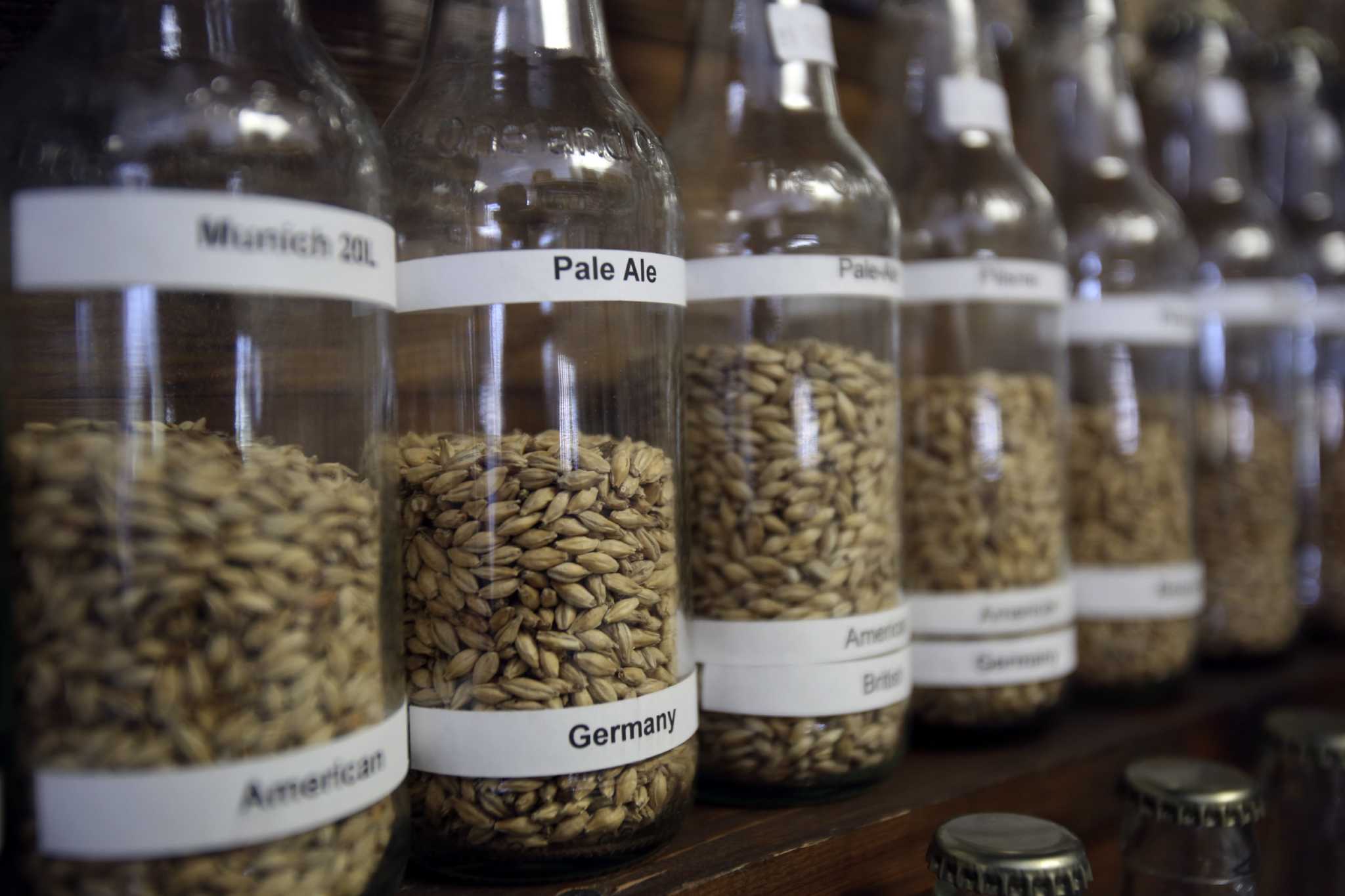 What's On Tap: Beer-making at home