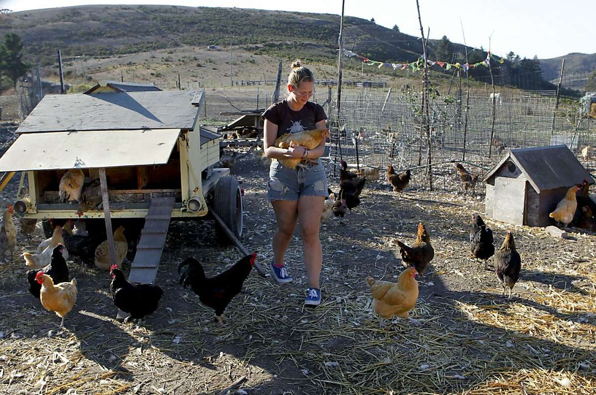 WWOOF volunteers pitch in on organic farms