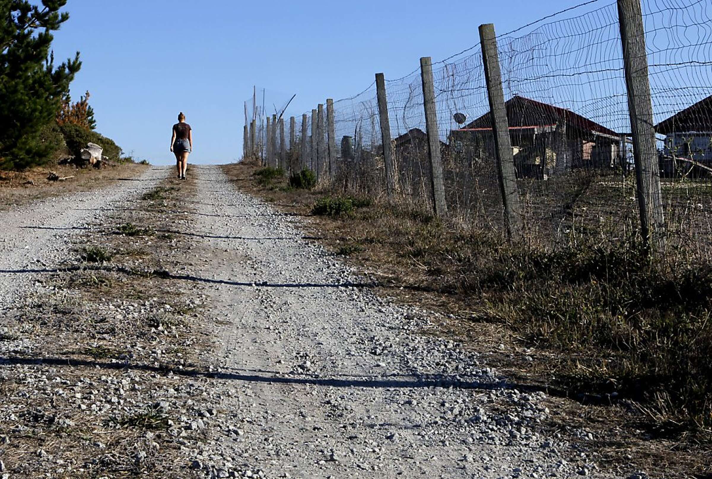 WWOOF volunteers pitch in on organic farms