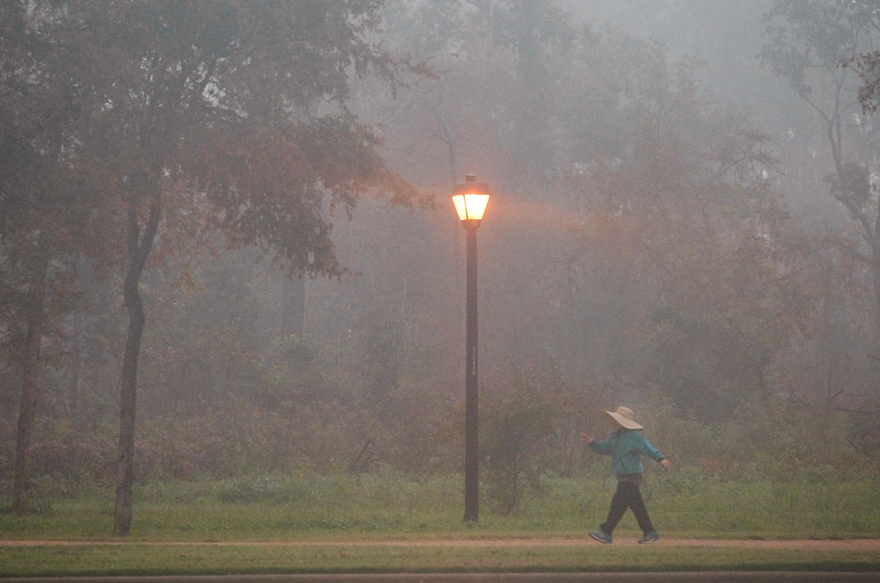 Dense fog shrouds Houston region
