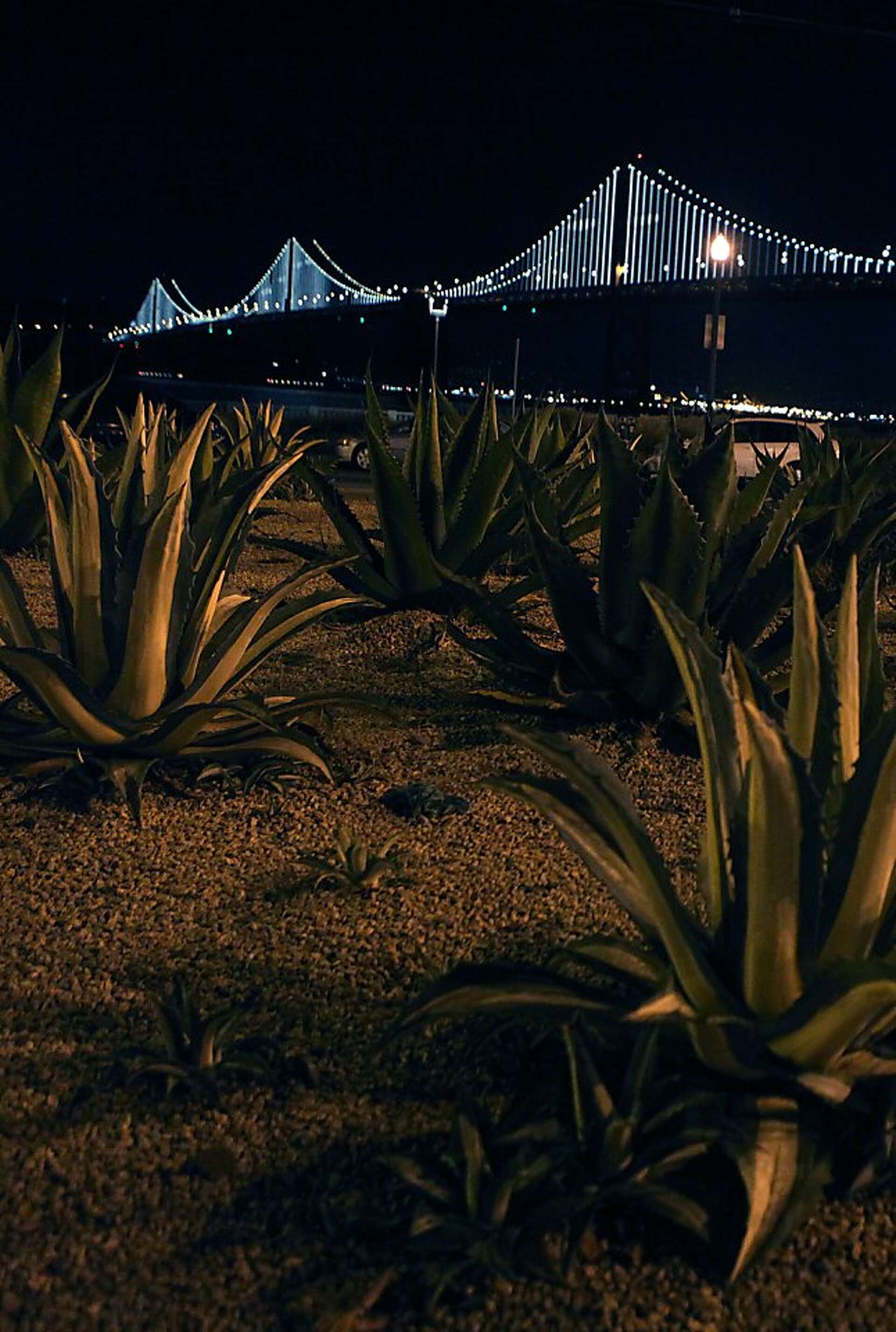 $4 million needed to save 'Bay Lights’ on Bay Bridge