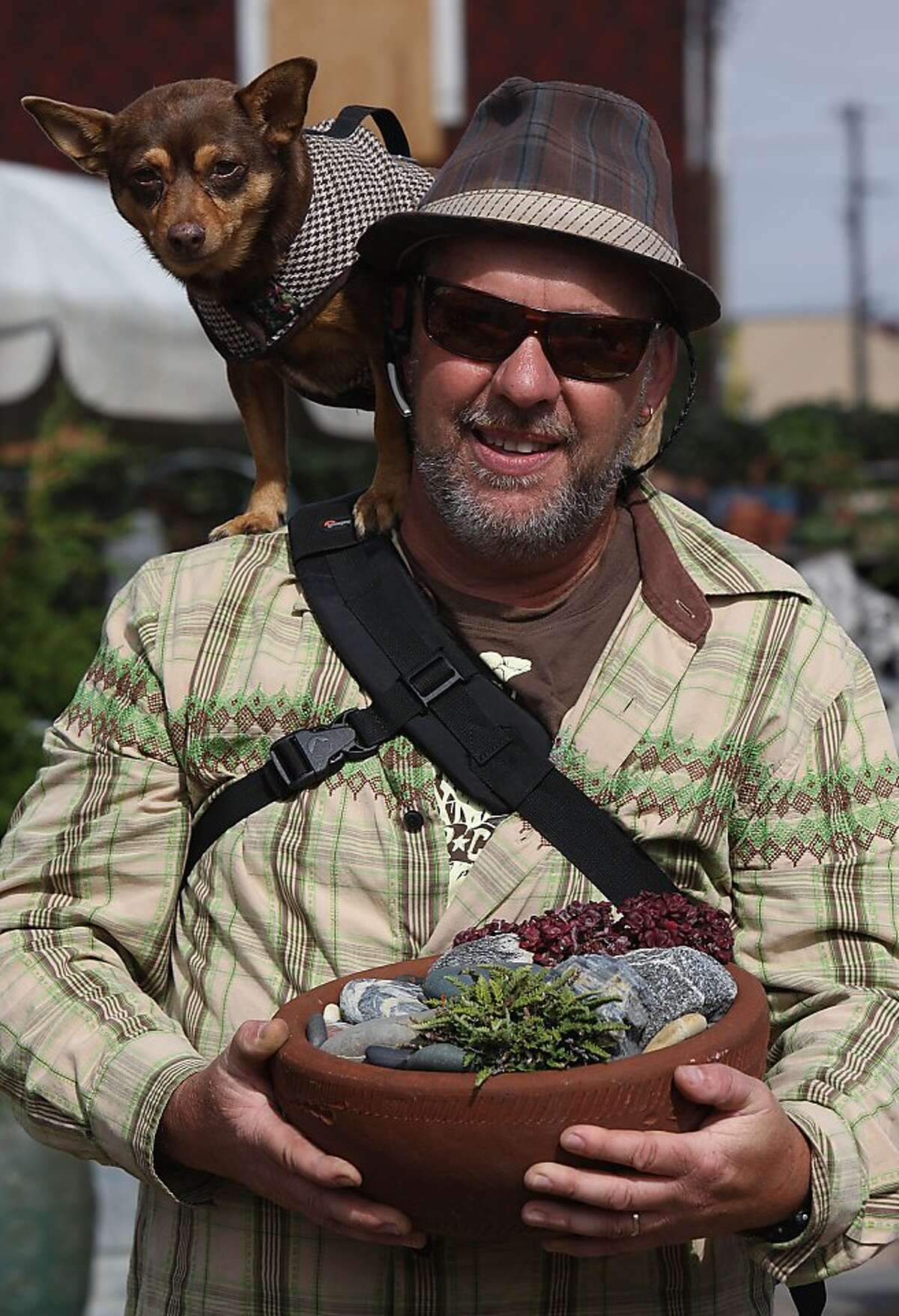 Introducing distinctive California native plants