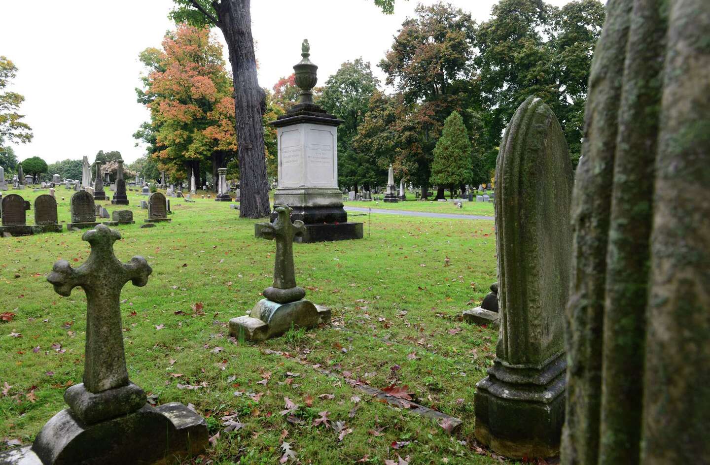 Stephen Van Rensselaer (1764-1839): The last patroon, philanthropist ...