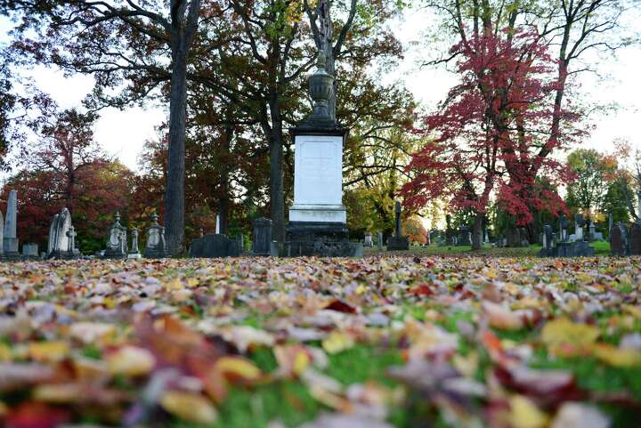 Stephen Van Rensselaer (1764-1839): The last patroon, philanthropist ...