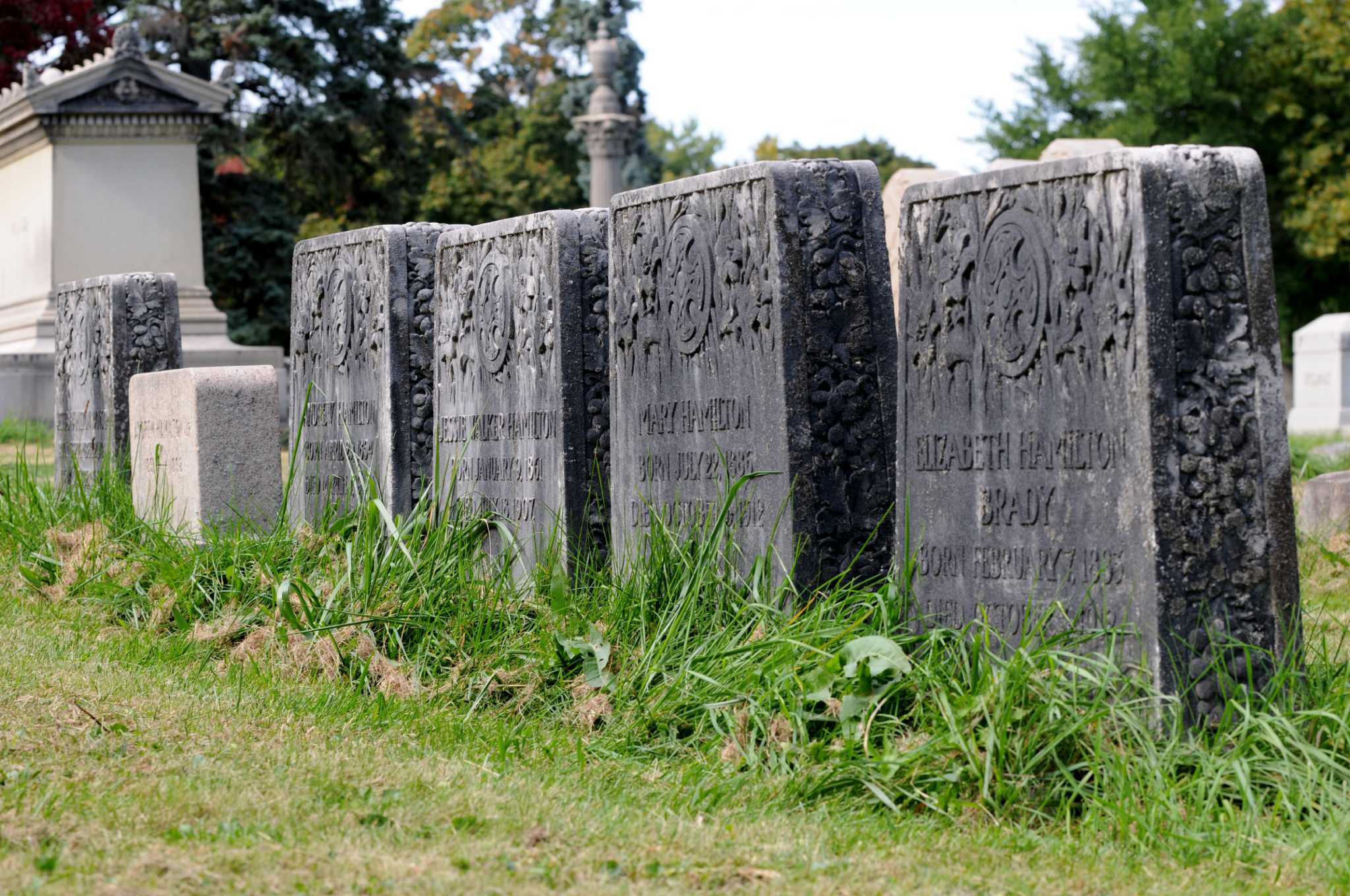 Stephen Van Rensselaer (1764-1839): The last patroon, philanthropist ...