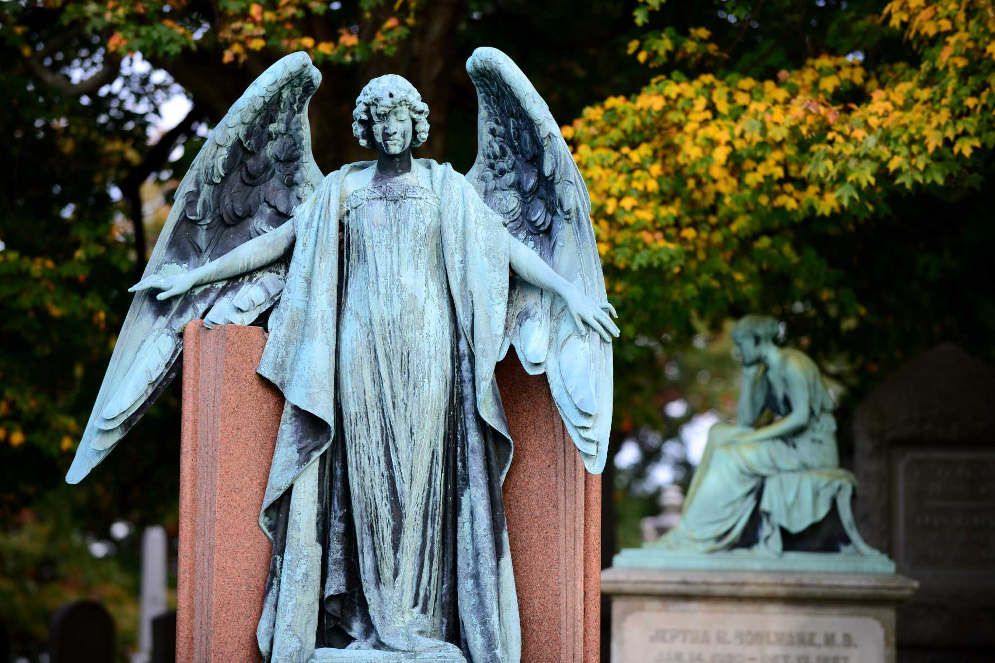 Stephen Van Rensselaer (1764-1839): The last patroon, philanthropist ...