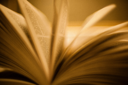 Words Added To Oxford Dictionary words-added-to-oxford-dictionary