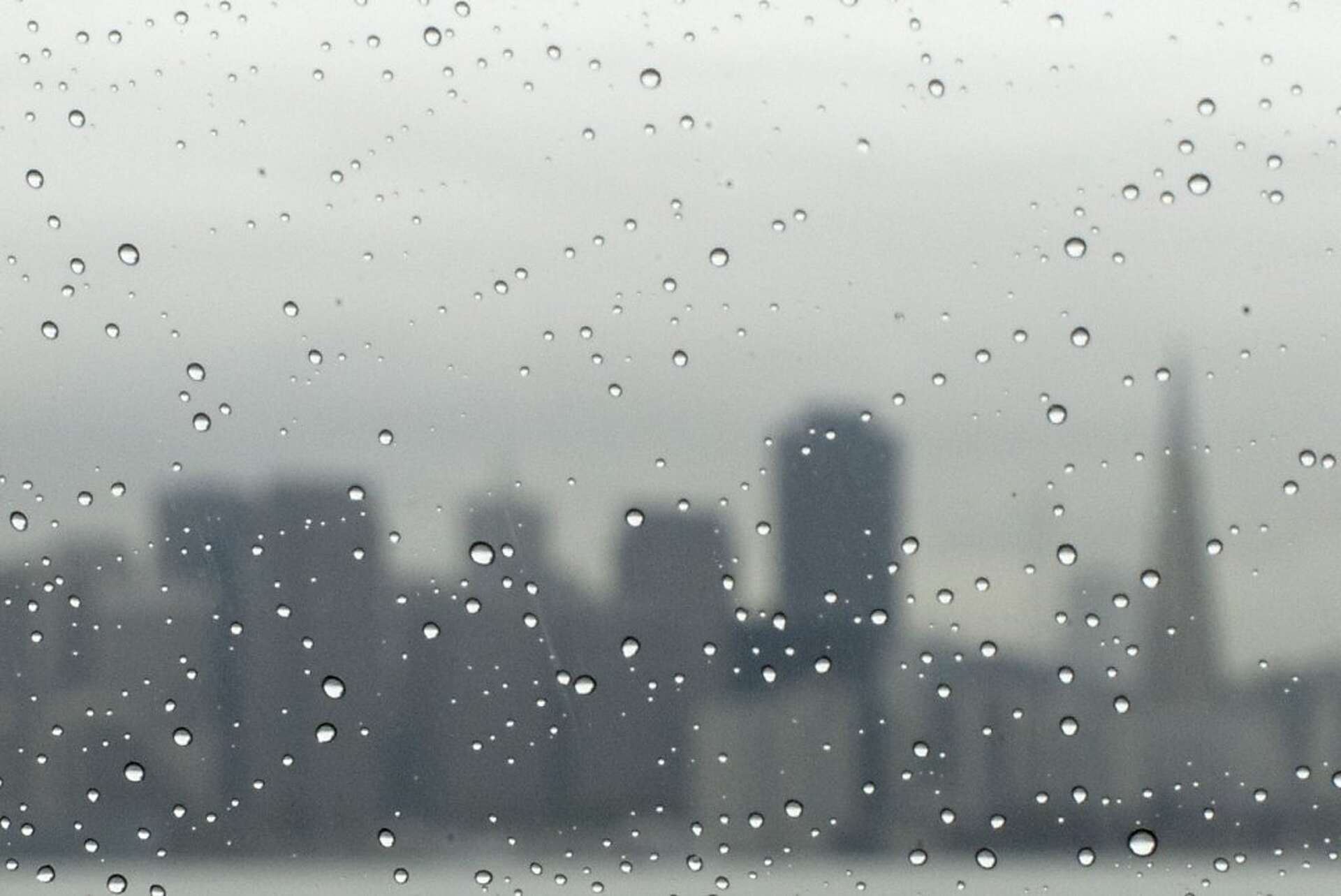 Light rain falling on parched Bay Area