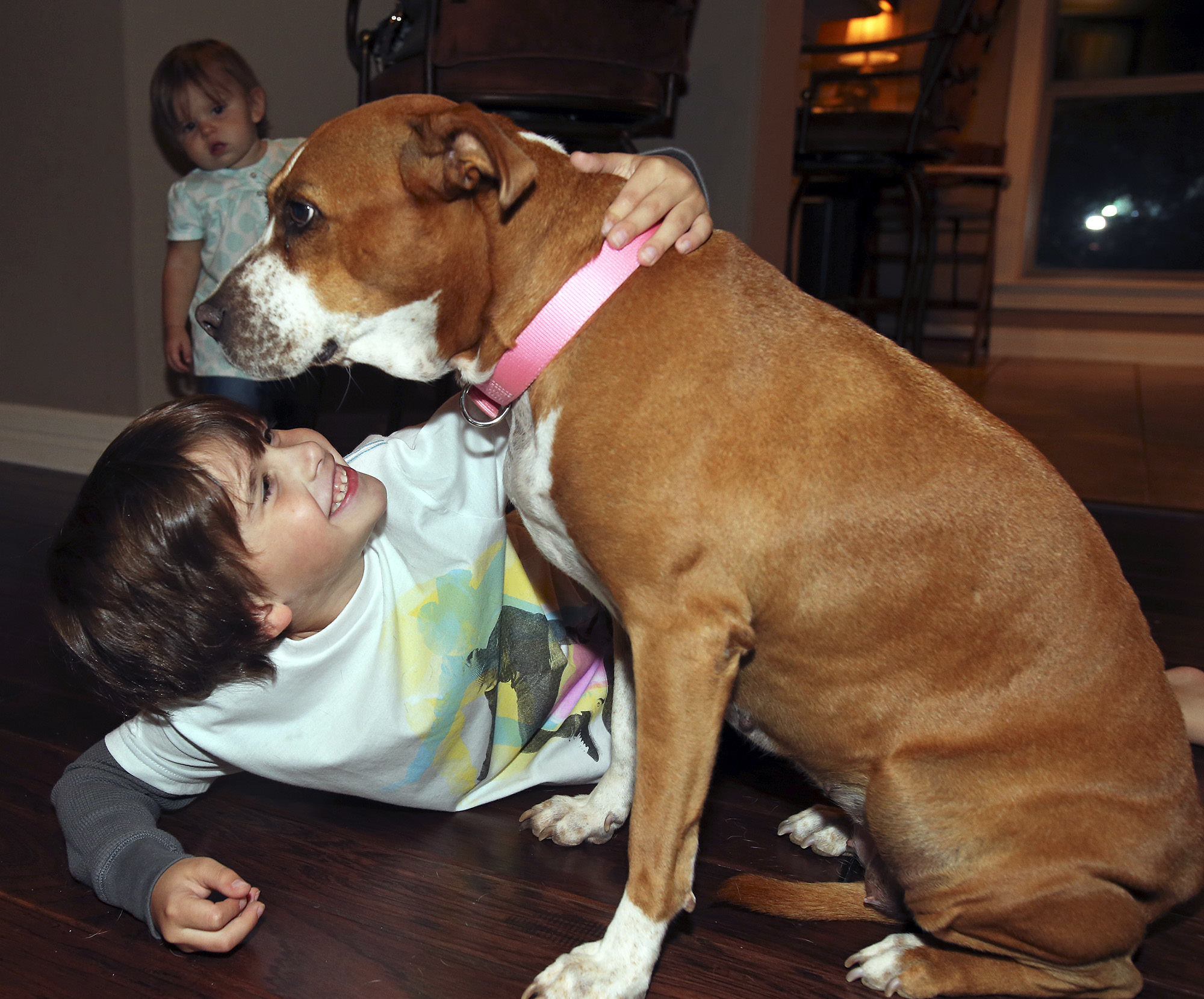 SAPA helps Paisley and other animals find homes