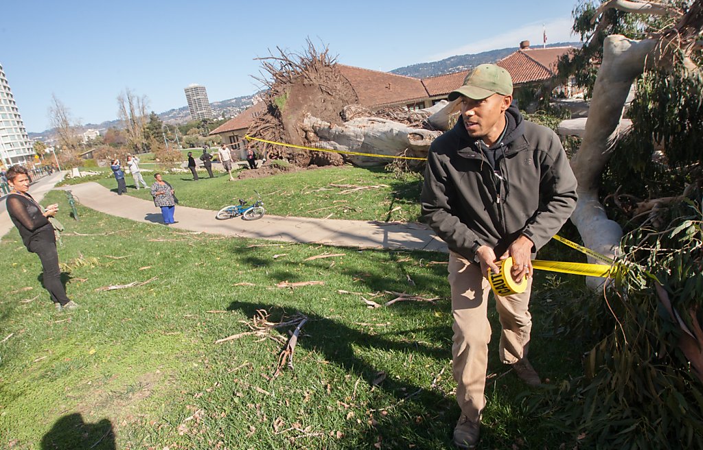 2 killed in windstorm; thousands without power