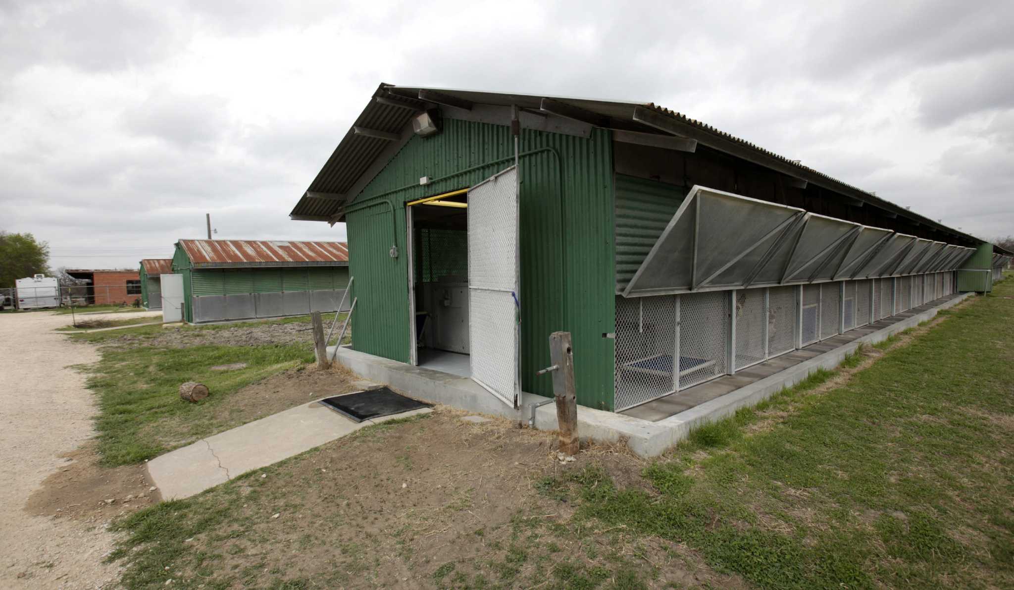 Brooks' dog kennels approved as rabies quarantine facility