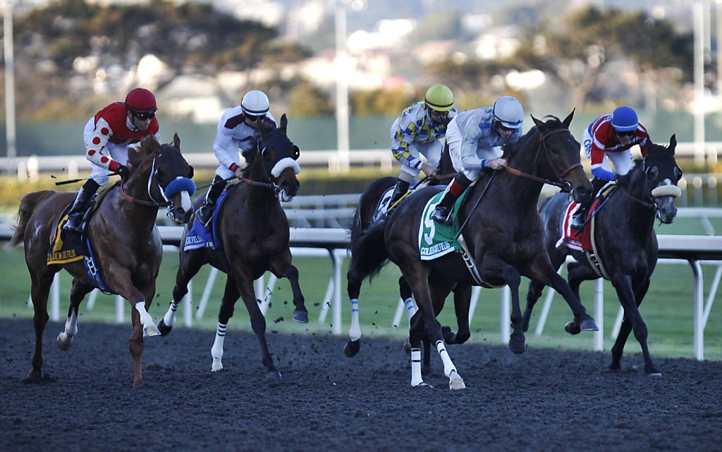 Summer Hit's a real champ on GGF's synthetic track