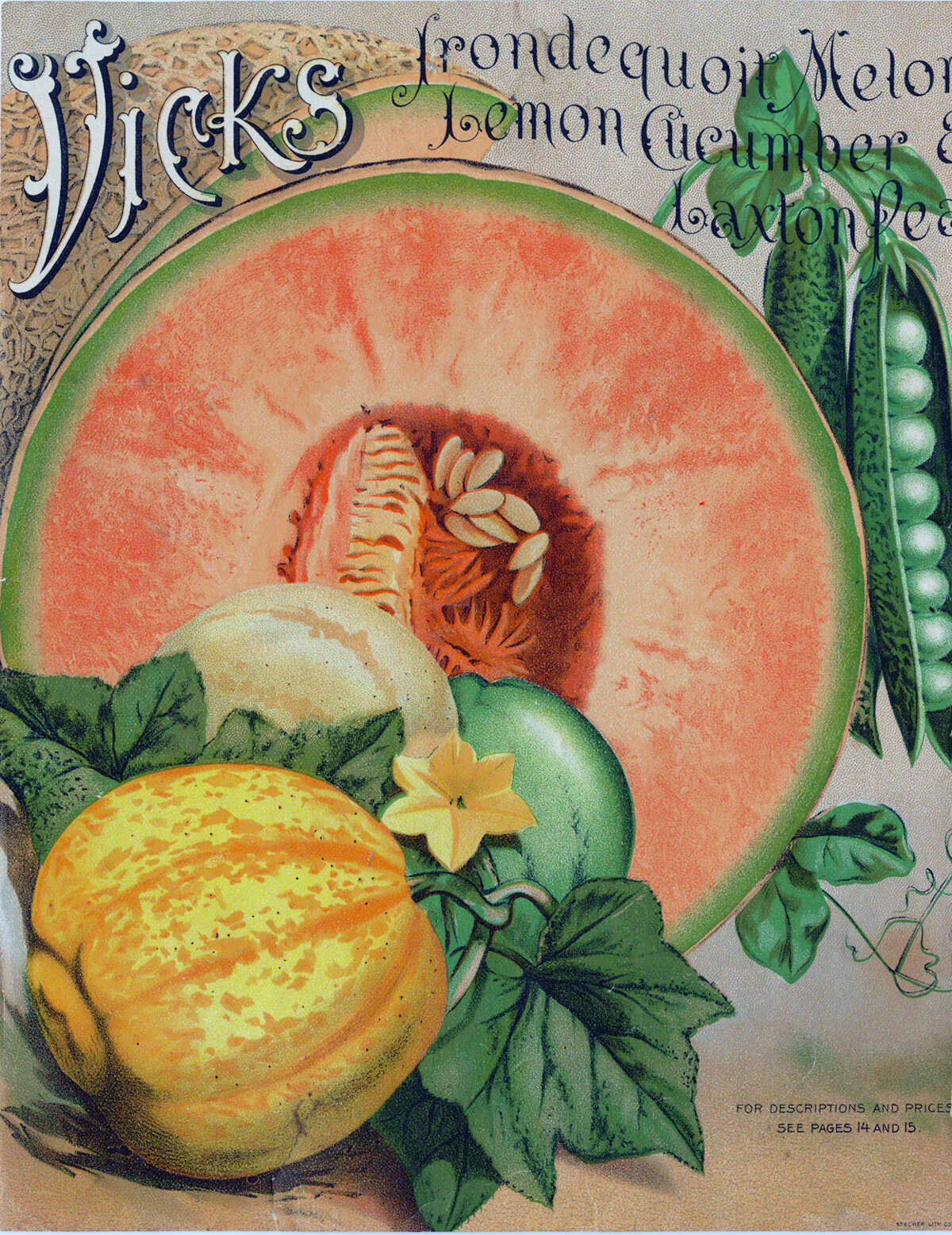 30 vintage ads for foods you still eat