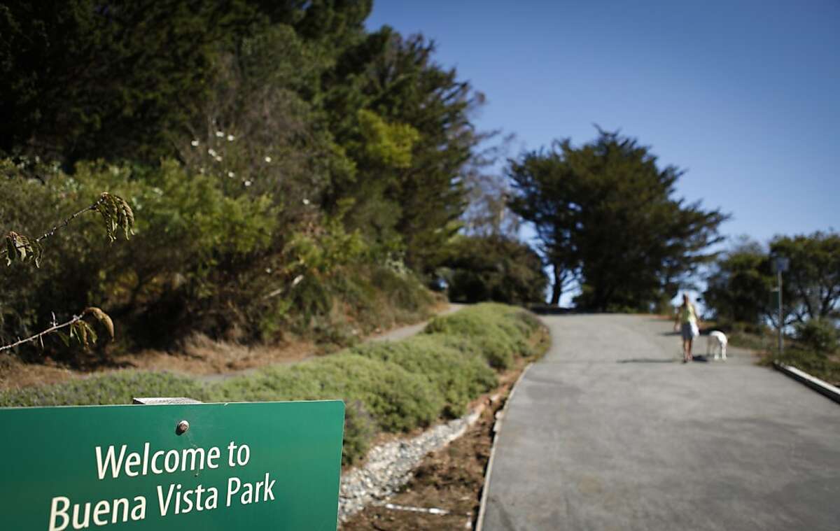 Buena Vista Park - green space both tamed and wild