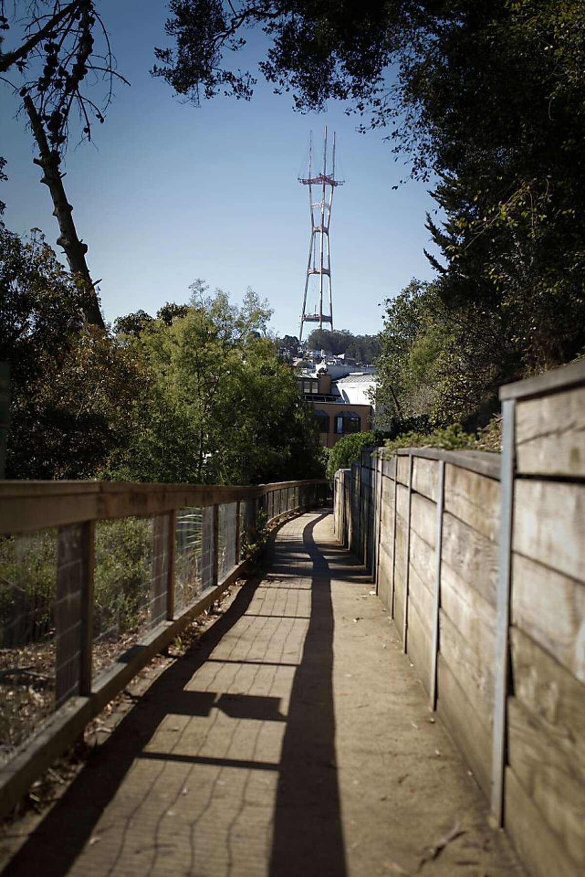 Buena Vista Park - green space both tamed and wild