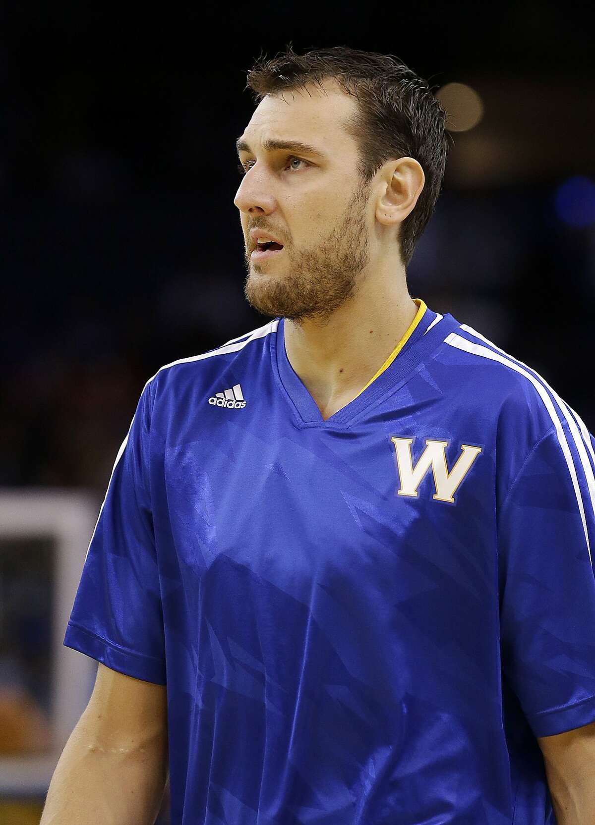 Warriors' Andrew Bogut on center stage