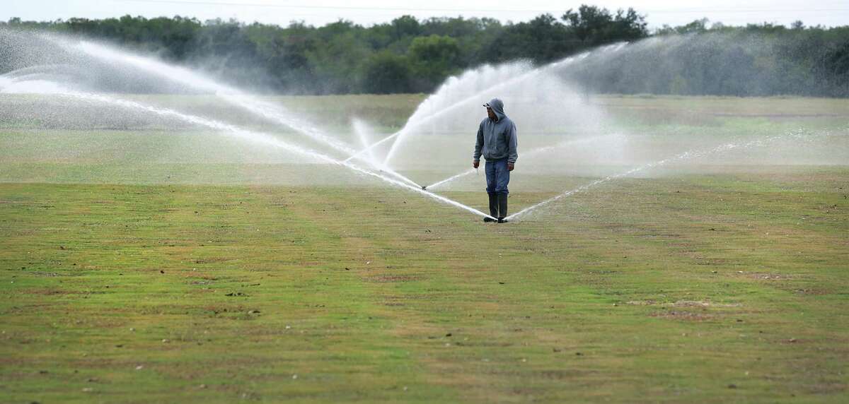Poteet grower to supply grass for golf course at 2016 Summer Olympics
