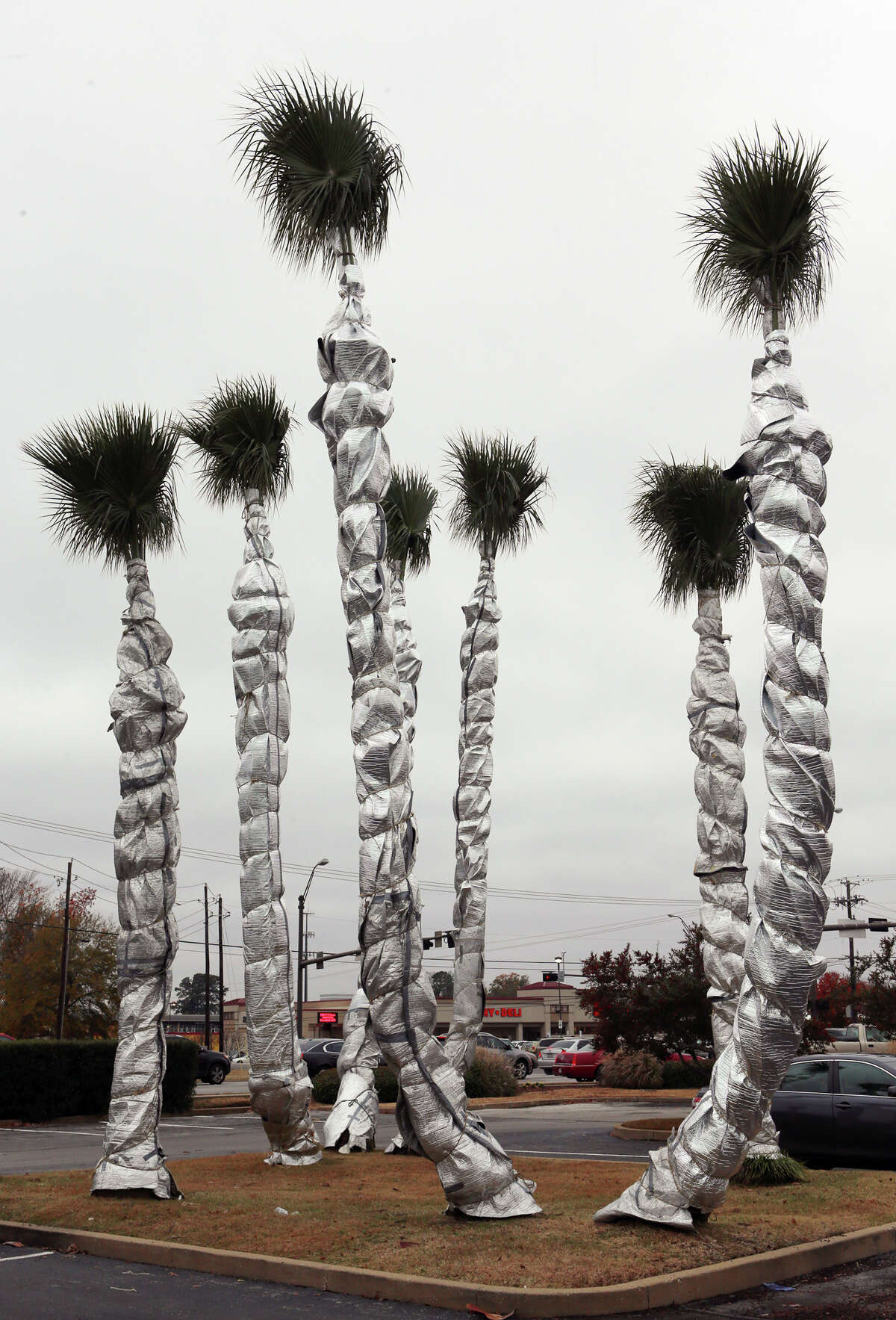 Cold where cold doesn't belong