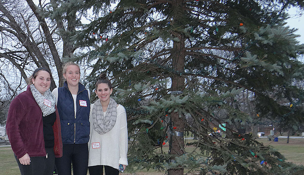 Christmas tree on Mill Plain Green warms a cold night