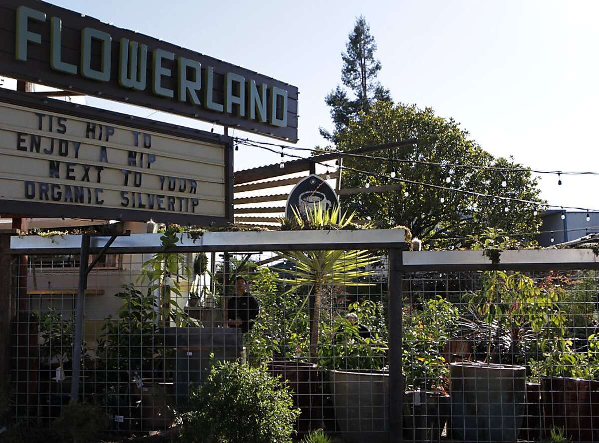 Flowerland Nursery: Updated classic blossoms in Albany