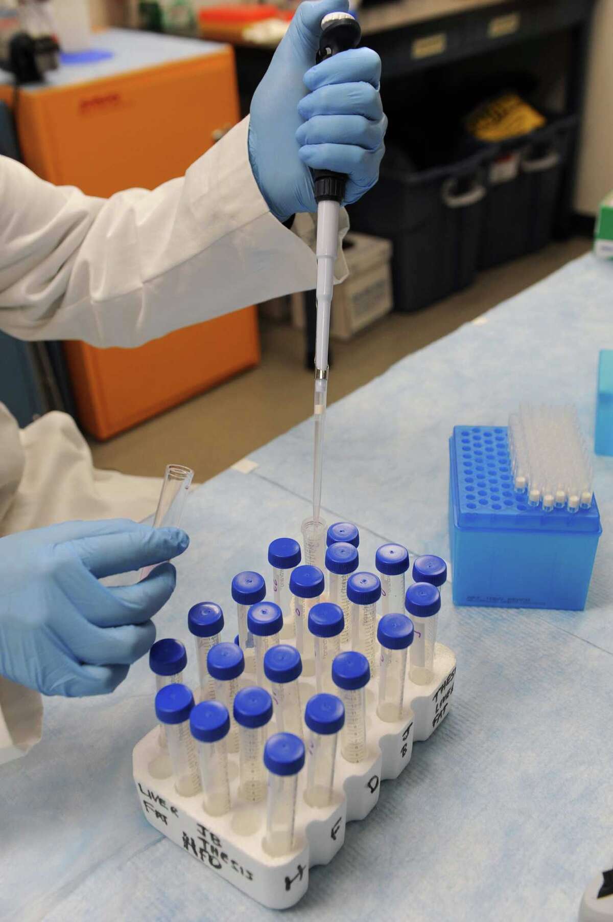 Mice may yield fat-busting key