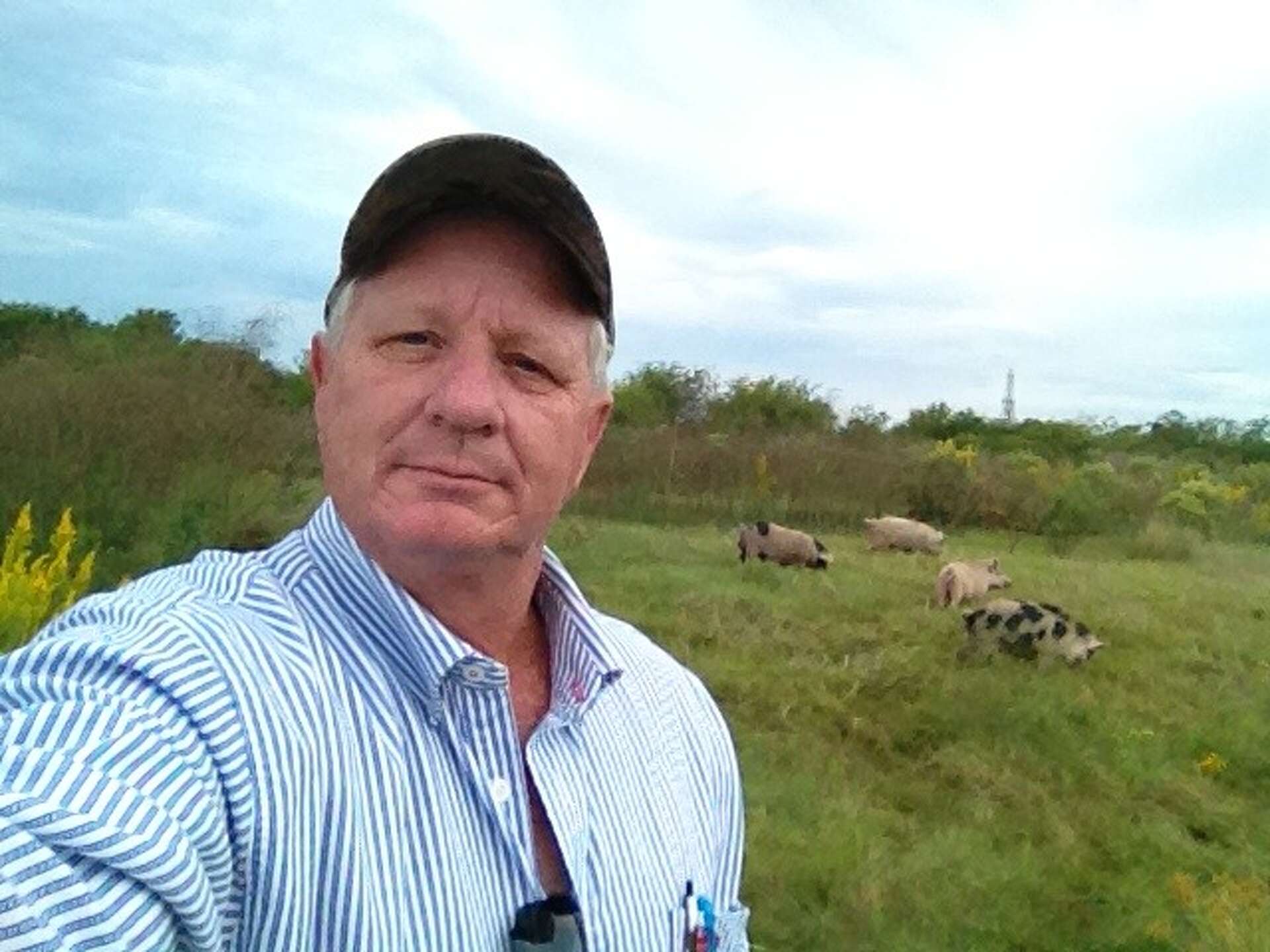 Trapping feral hogs? Try using your cell phone