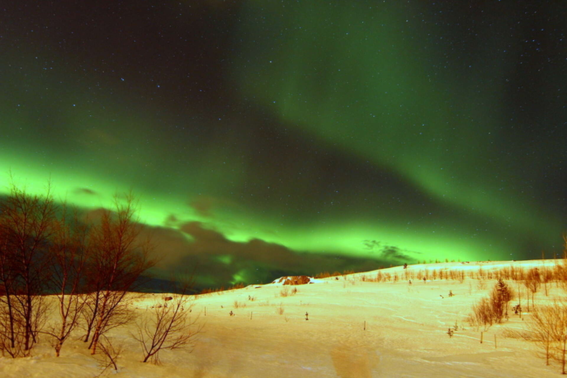 Amazing night skies from around the globe