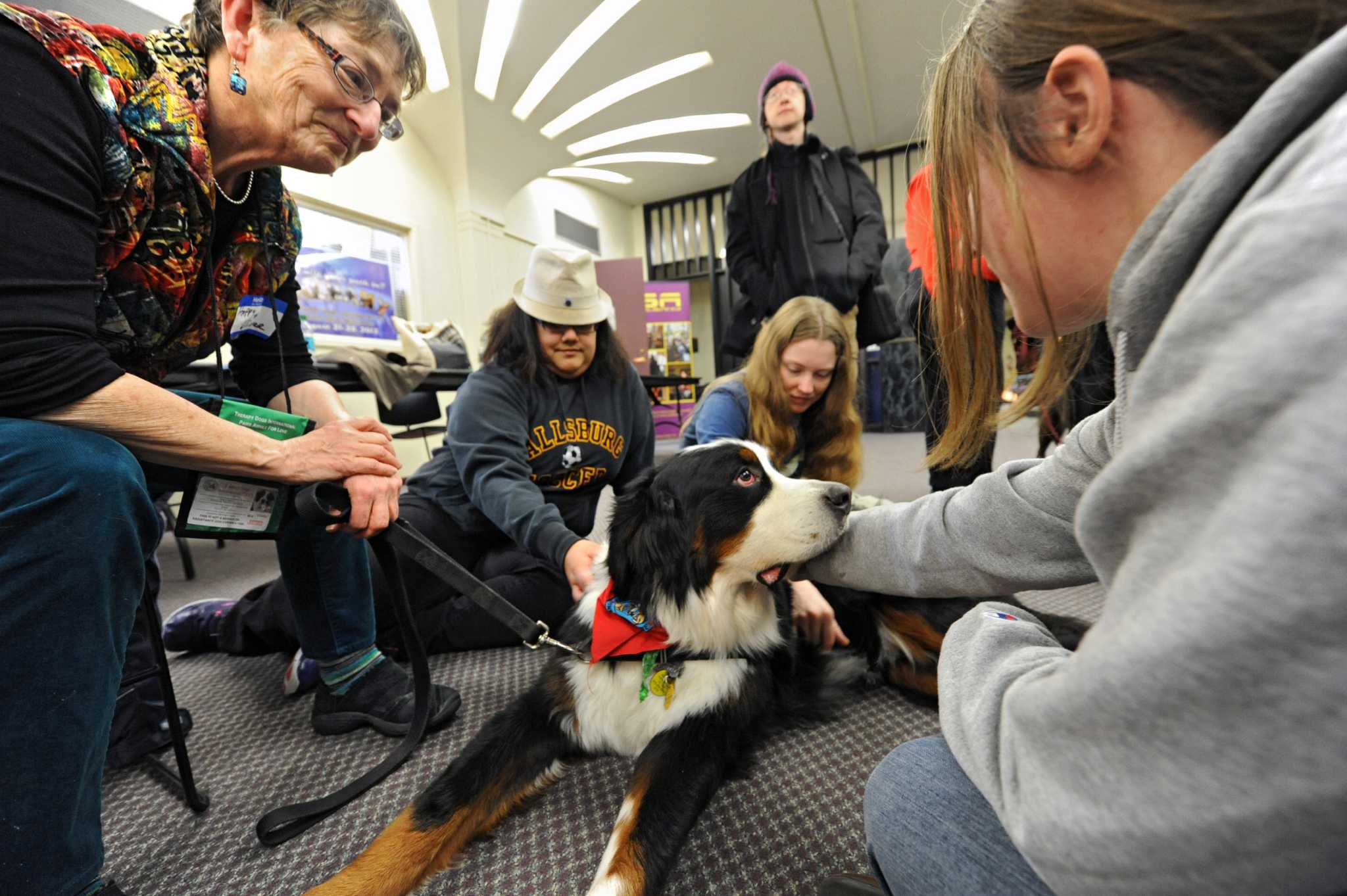 Cookies send off UAlbany students