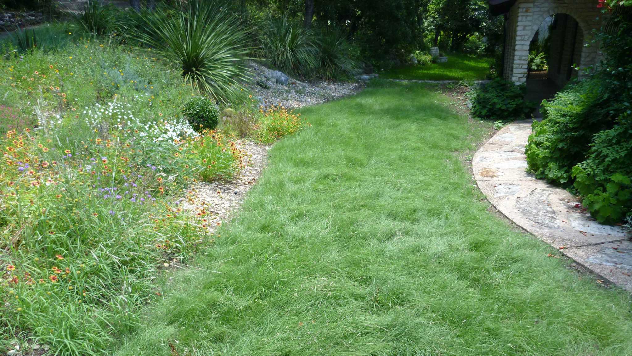 New native grass mix an option for sunny sites