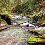Sedro-Woolley castle sells for $782K - seattlepi.com