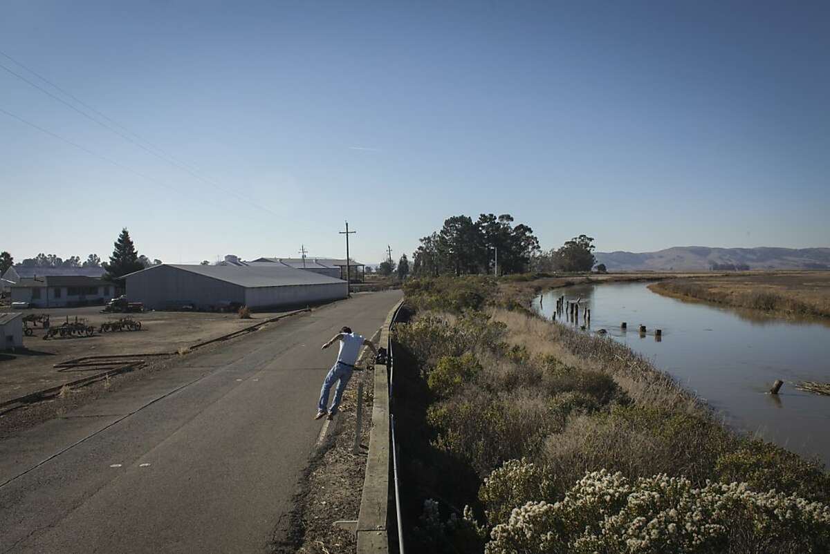 Purchase of Skaggs Island farm to restore S.F. Bay marshland