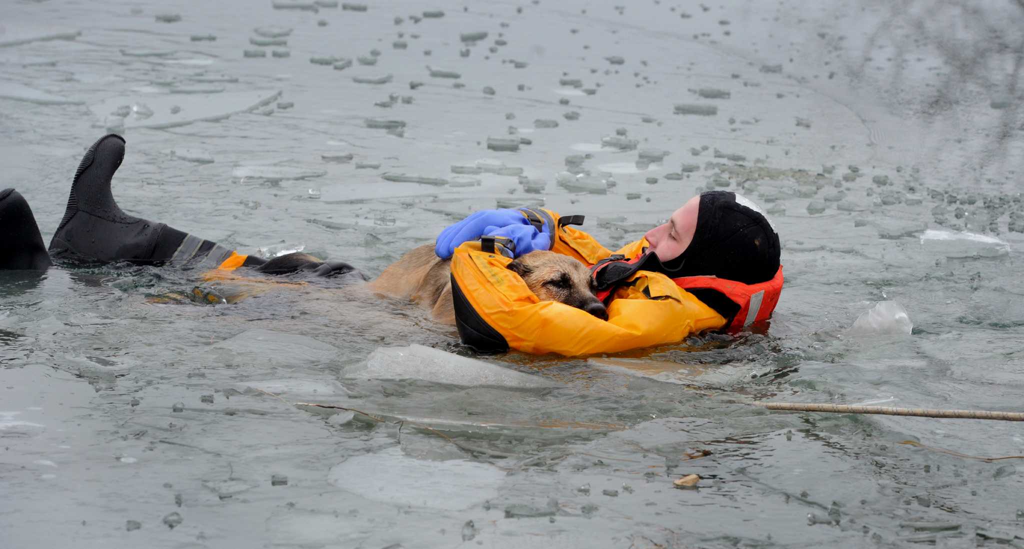 World news photos: Dramatic dog rescue, your oldest relative and more