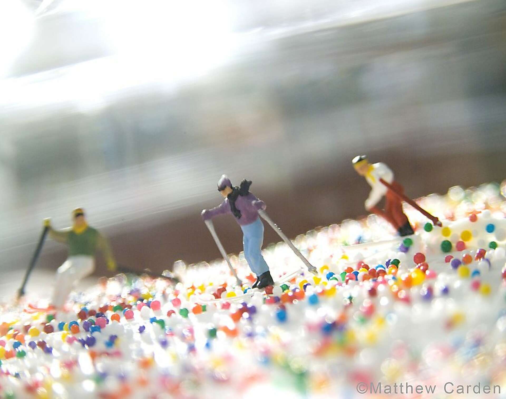 Novato art gallery's main dish is food