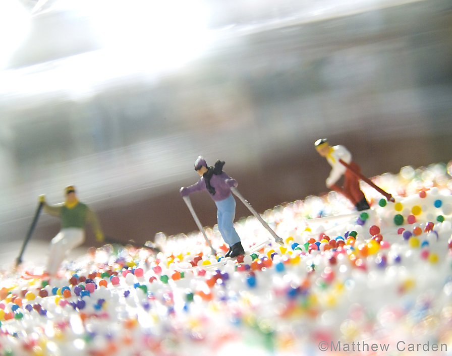 Novato art gallery's main dish is food