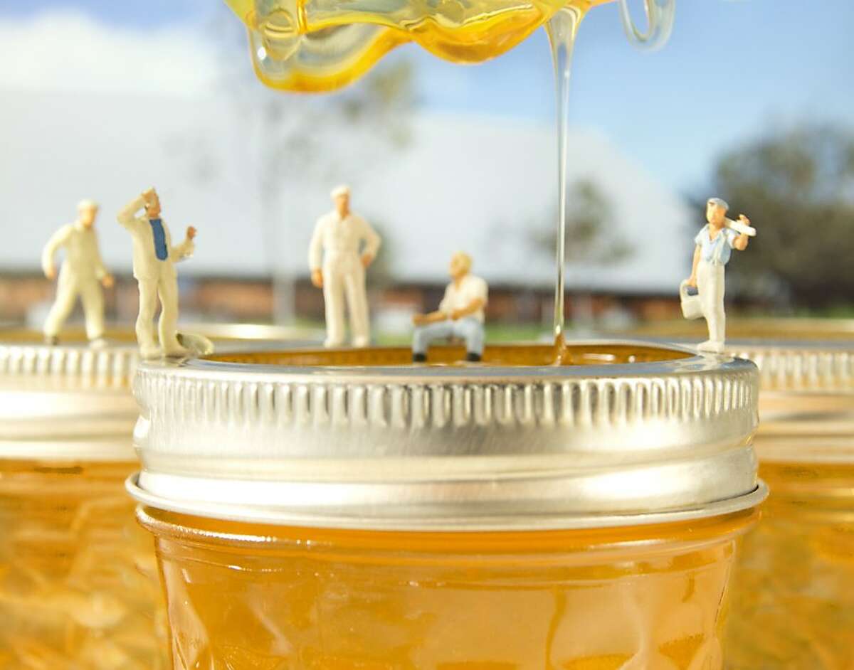 Novato art gallery's main dish is food