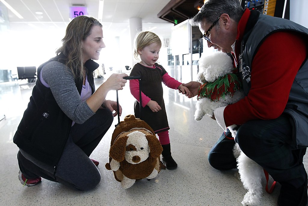 S.F. airport offers therapy dogs for weary travelers