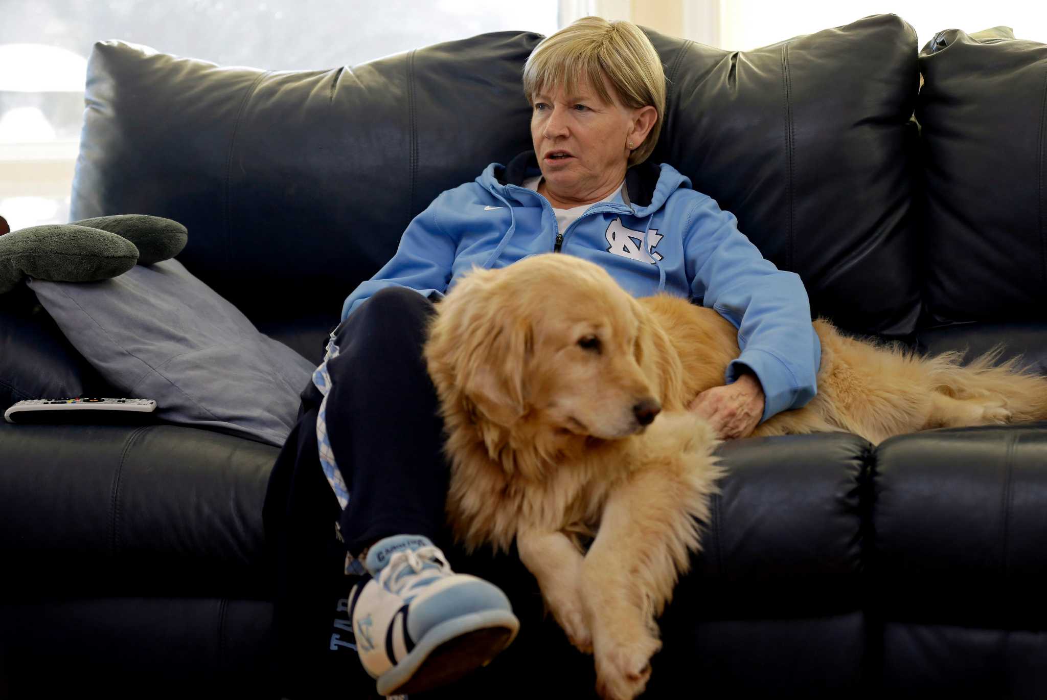 Hatchell vows to coach again