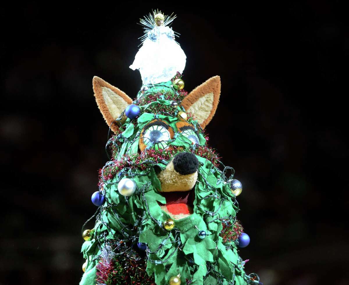 22 things every Spurs fan should know about the Coyote