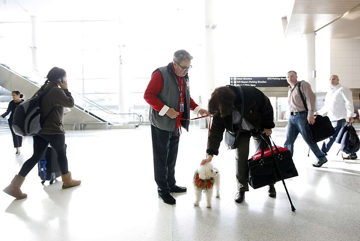 S.F. airport offers therapy dogs for weary travelers