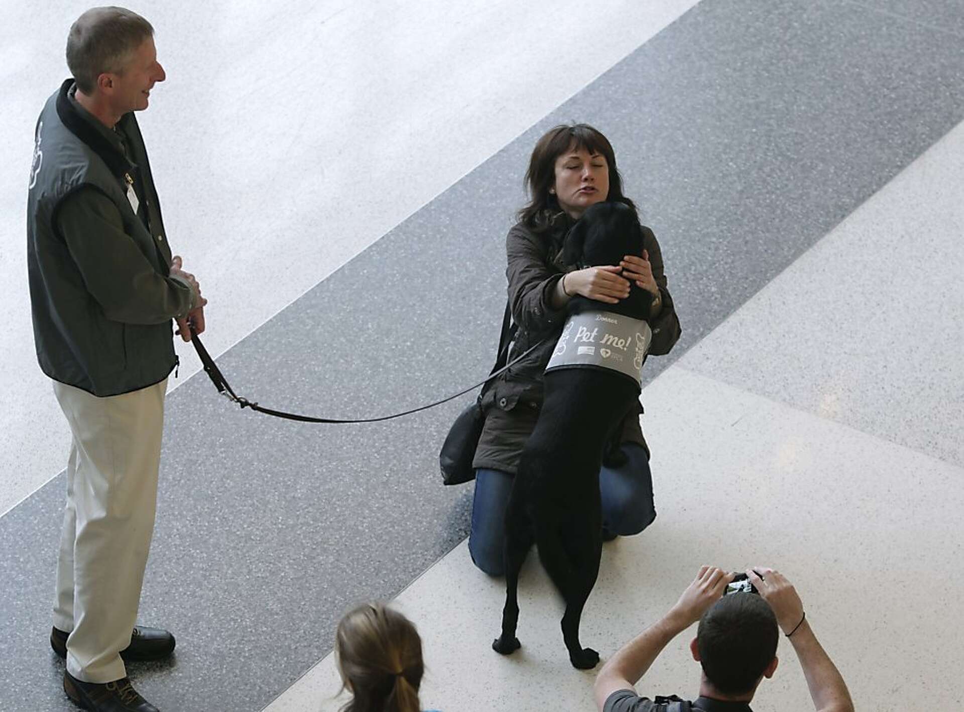 S.F. airport offers therapy dogs for weary travelers